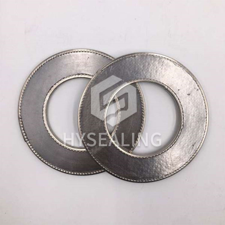 Reinforced Graphite Gasket - Products - Hysealing Company Limited