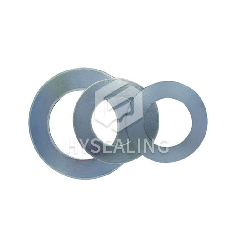 Reinforced Graphite Gasket - Products - Hysealing Company Limited