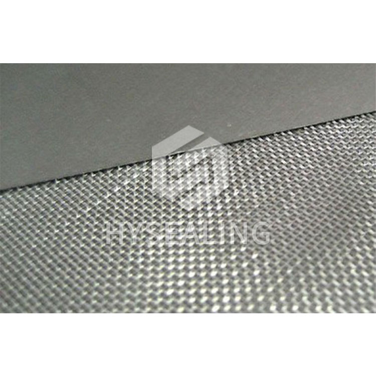 Graphite Sheet Reinforced with Tanged Metal - Products - Hysealing ...